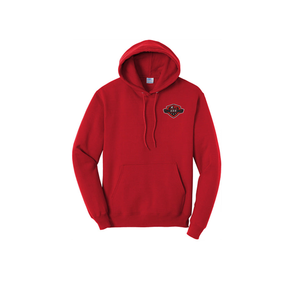 PC78H Port & Company Core Fleece Pullover Hooded Sweatshirt – ACE ...